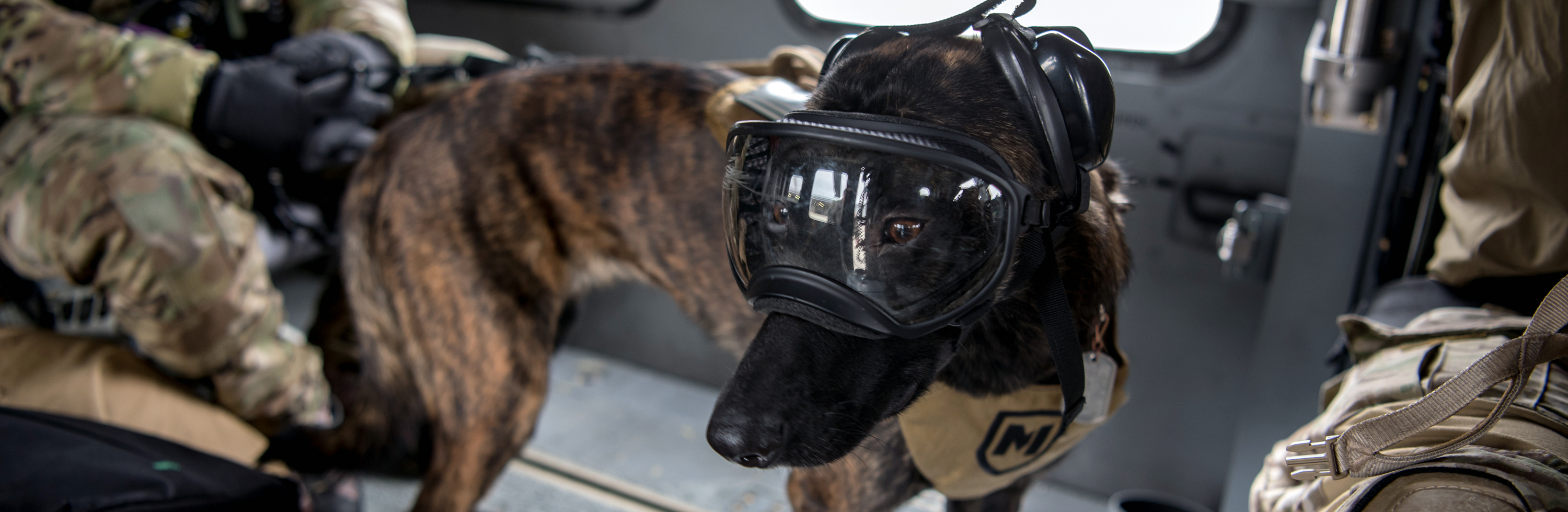 The National Guard - Official Website of the National Guard